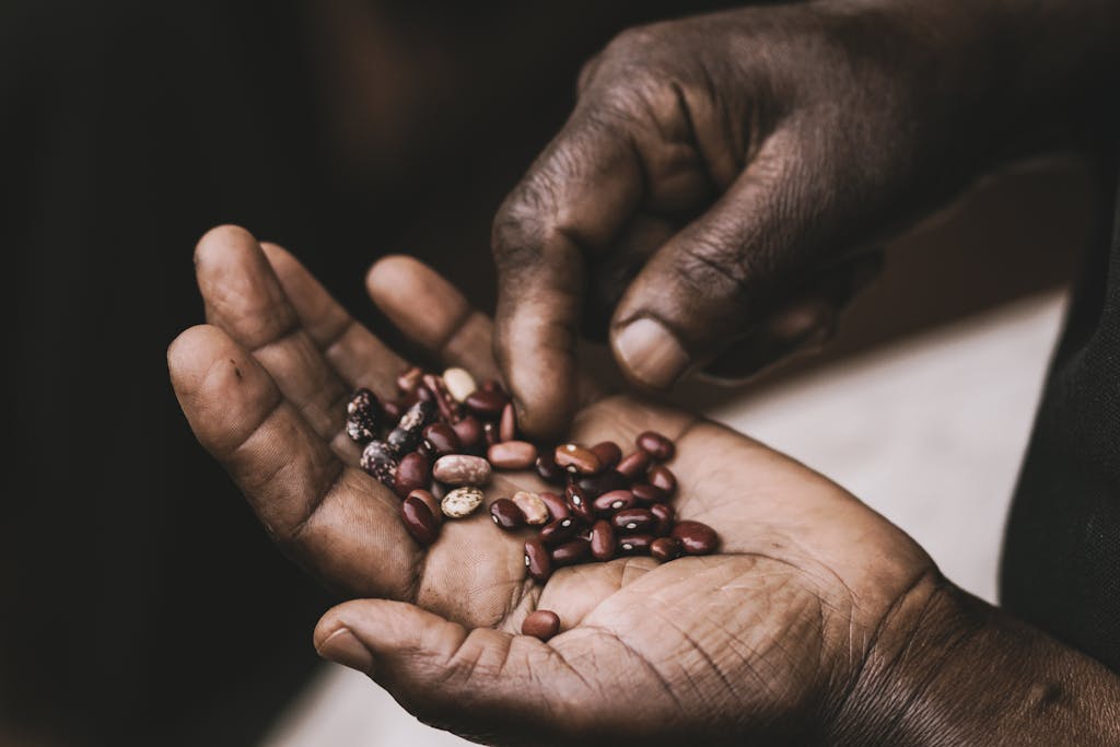 Exploring the Impact of Climate Change on Agriculture and Food Security ...